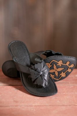 Women's Born Chacha Sandals | Overland
